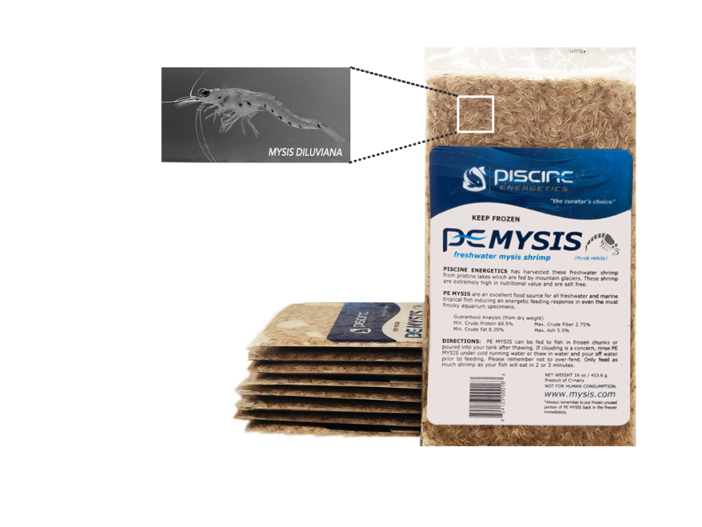 PE Mysis - Piscine Energetics